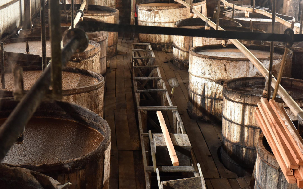 Jak se vyrábí rum - základní definice a výroba | Rumcajzl.cz